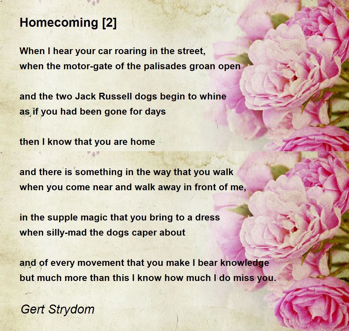 Homecoming [2] - Homecoming [2] Poem by Gert Strydom