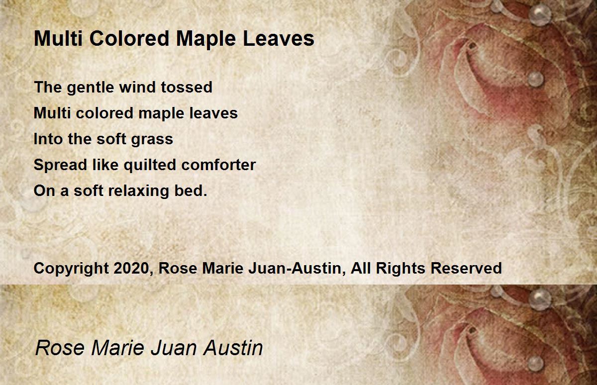 Multi Colored Maple Leaves - Multi Colored Maple Leaves Poem by Rose ...