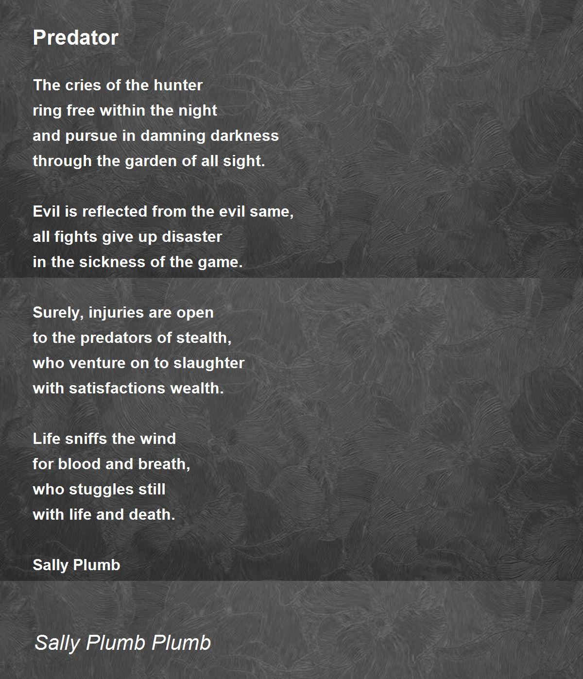 Sally Plumb's Instagram, Twitter & Facebook on IDCrawl