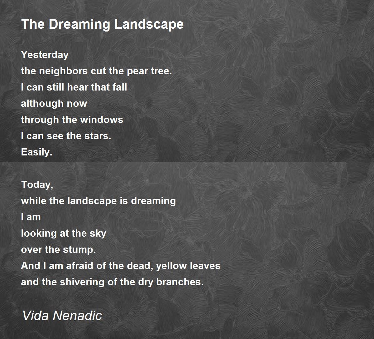The Dreaming Landscape by Vida Nenadic - The Dreaming Landscape Poem
