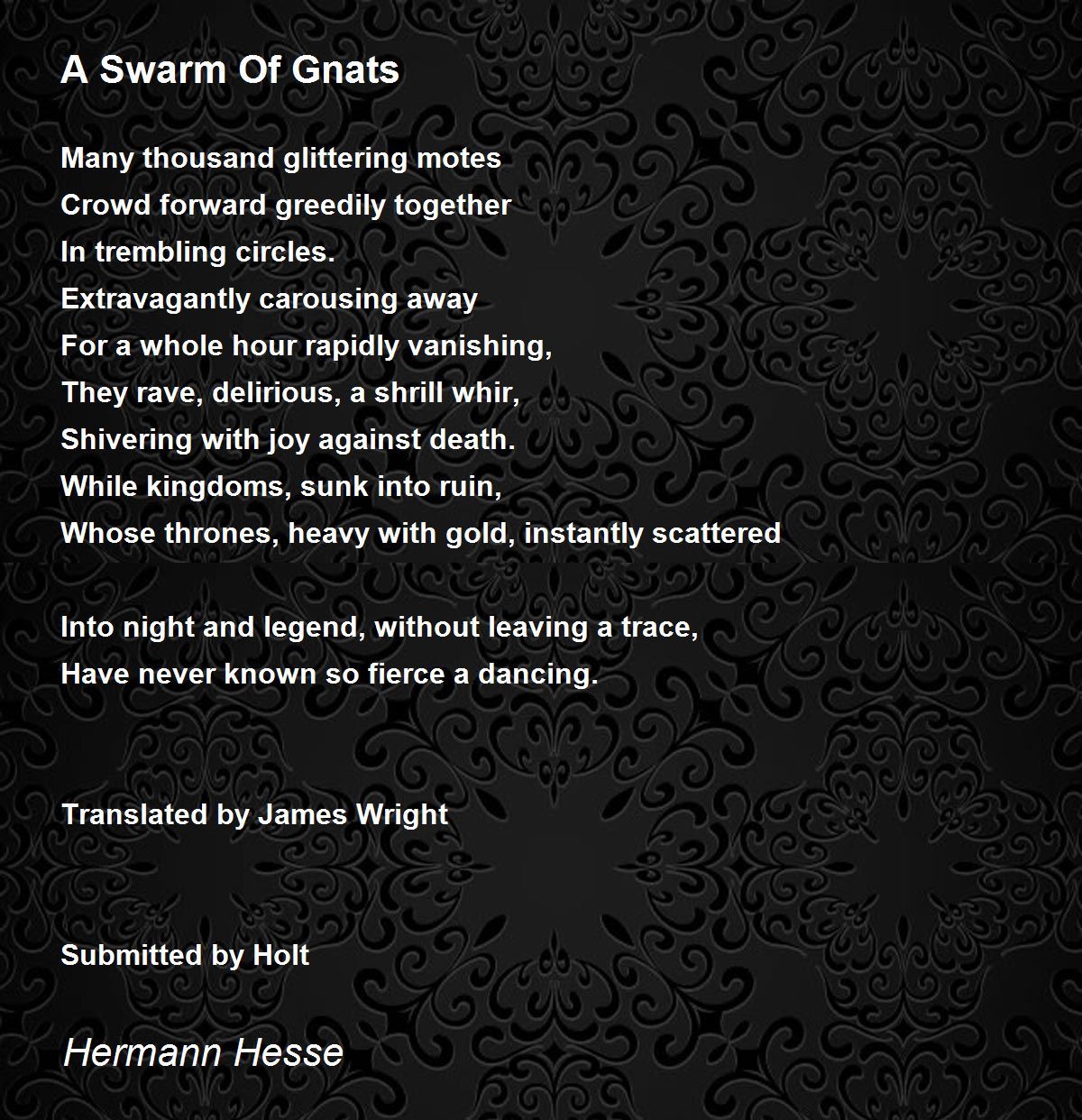 Gnat Quotes