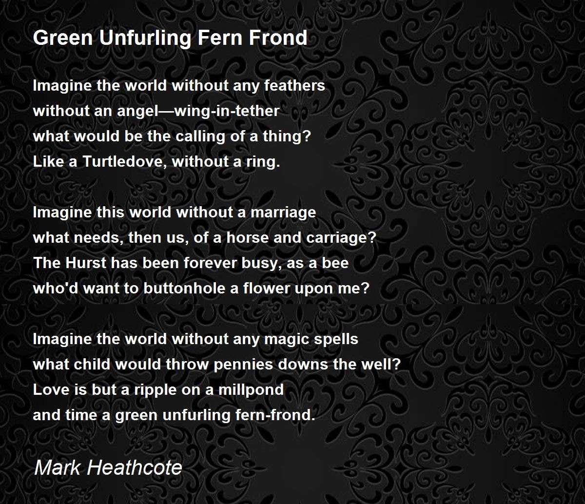 Green Unfurling Fern Frond - Green Unfurling Fern Frond Poem by Mark ...