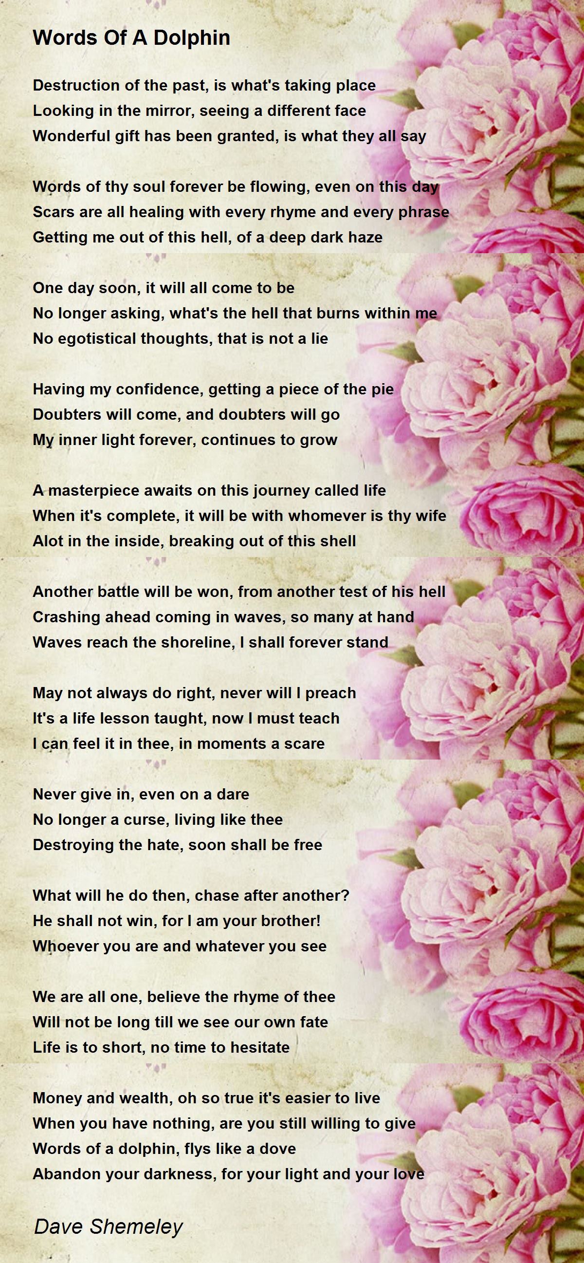 Words Of A Dolphin - Words Of A Dolphin Poem by Dave Shemeley