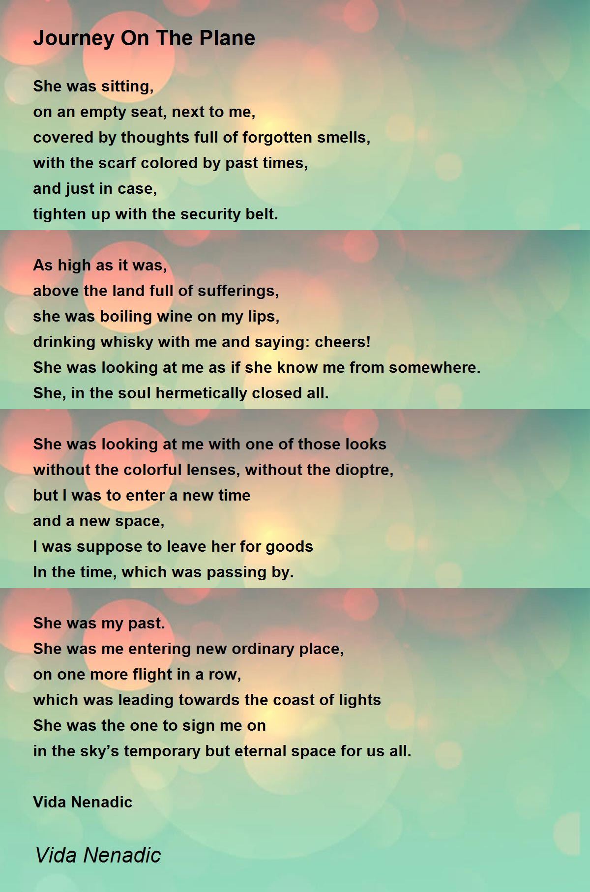 Journey On The Plane - Journey On The Plane Poem by Vida Nenadic