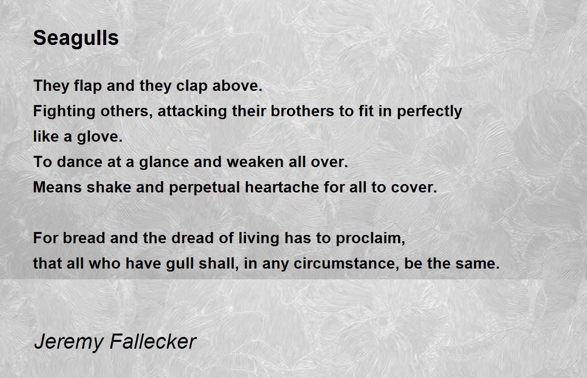 Seagulls Poem by Jeremy Fallecker - Poem Hunter