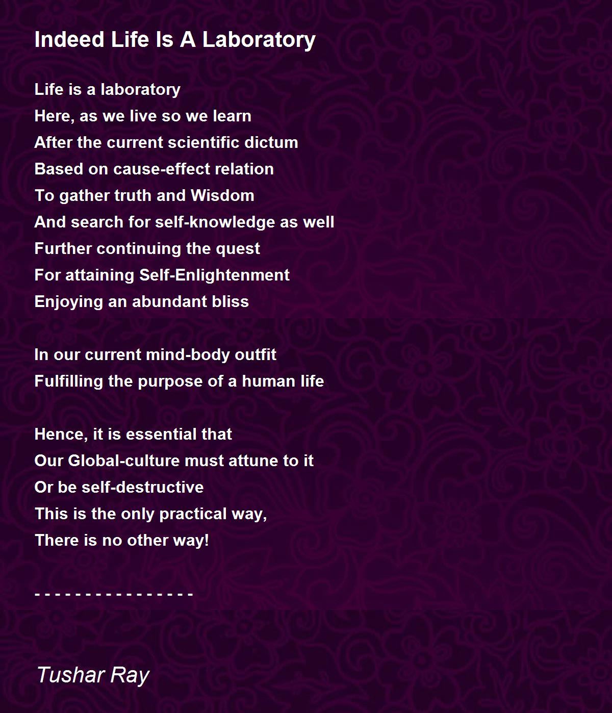 Lab Safety Poem at Hayley Pell blog