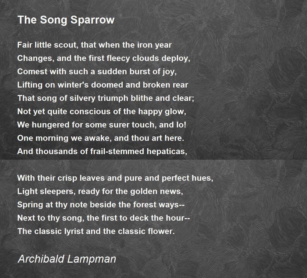 Song Of The Sparrow Quotes