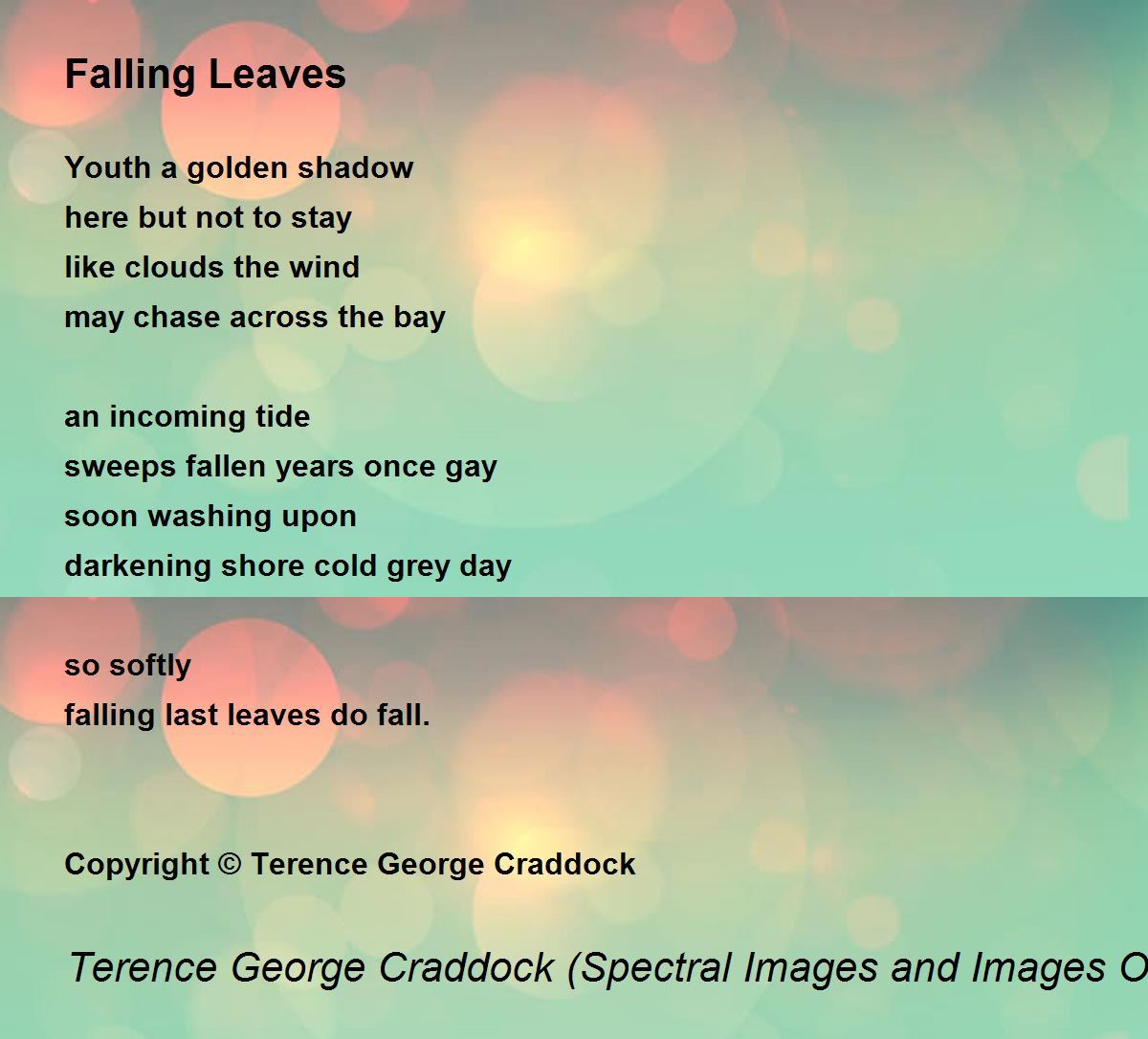 Fallen Leaf Poem
