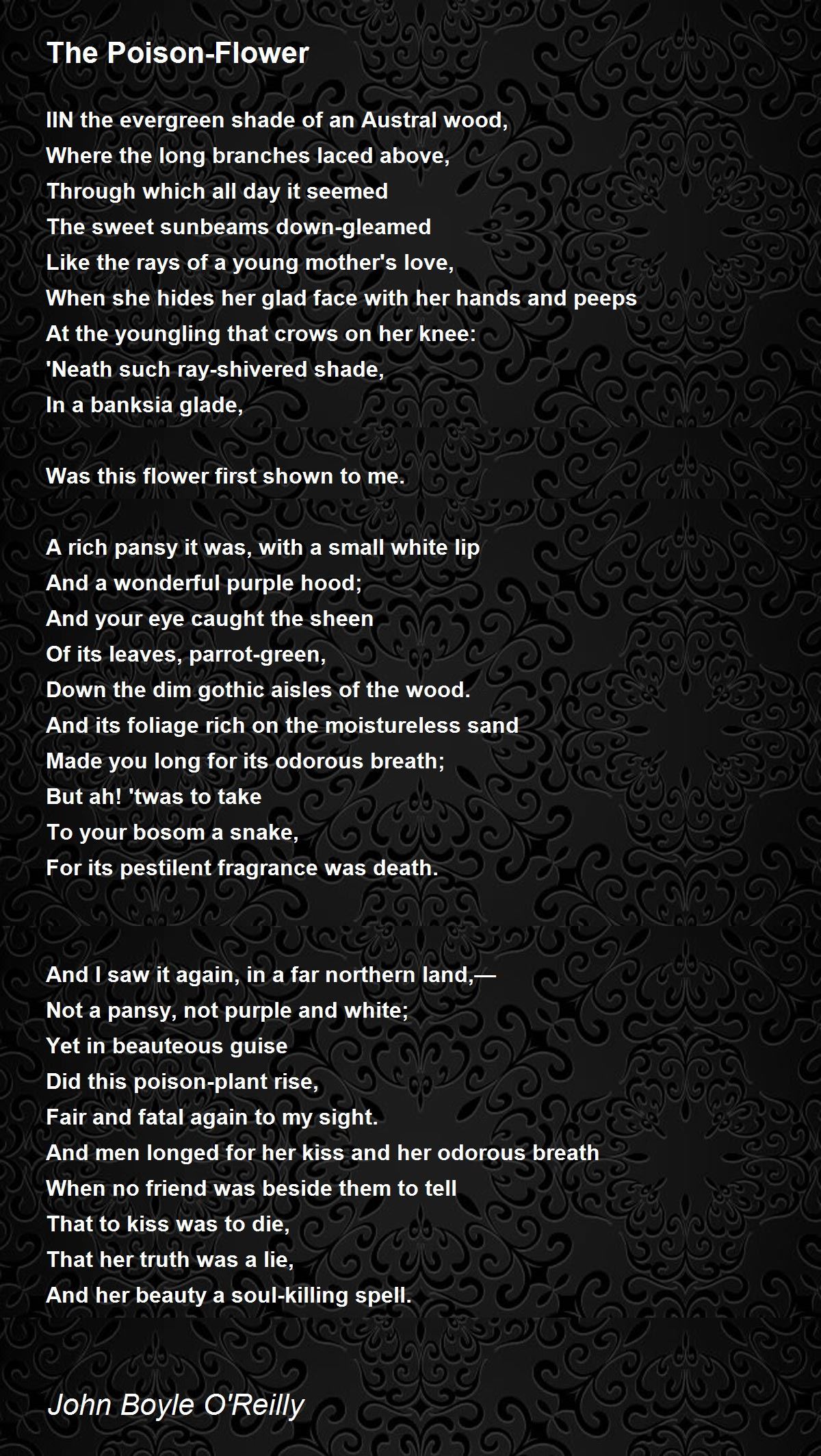 The Little Purple Flower Poem | Best Flower Site