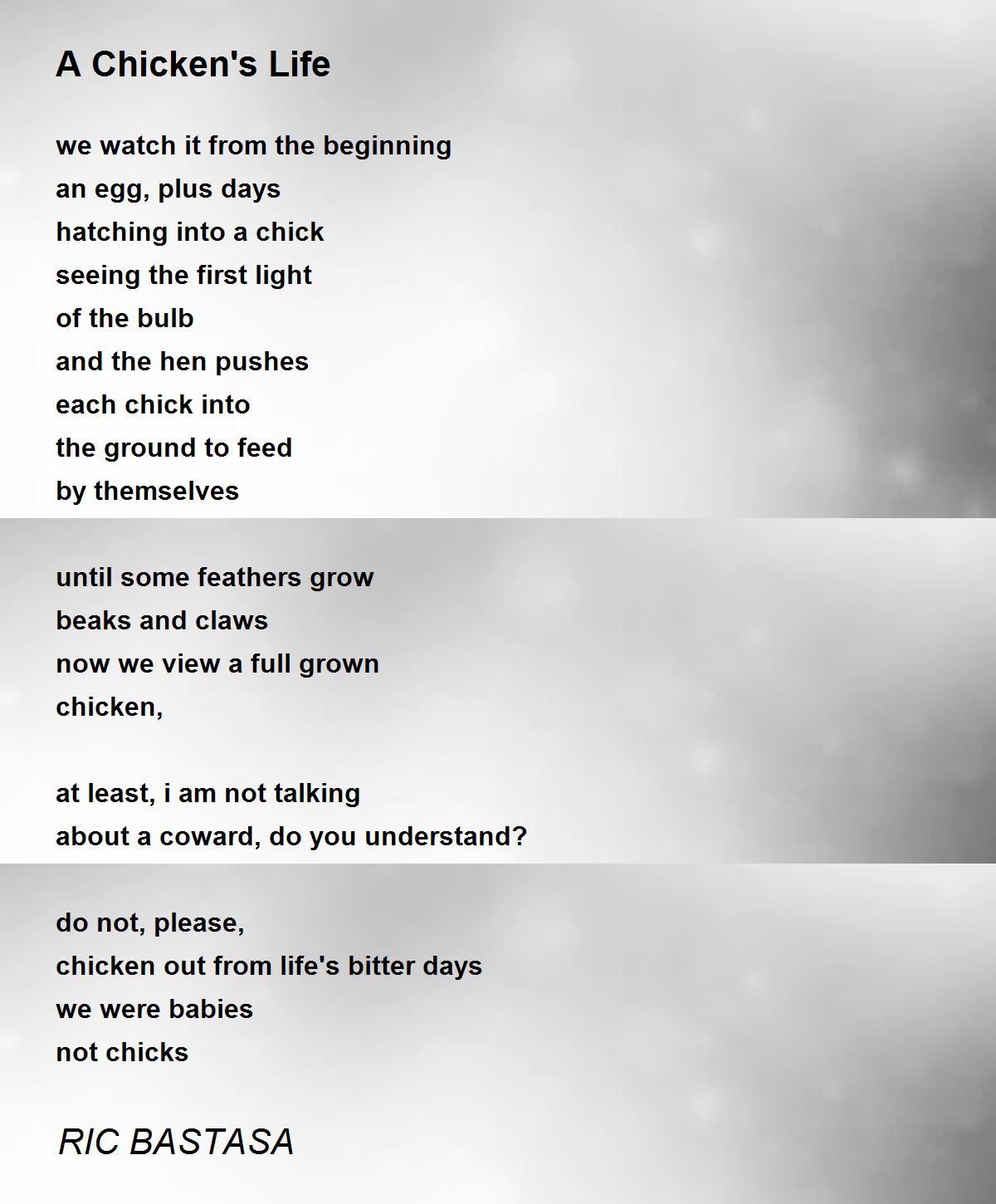 A Chicken's Life by RIC BASTASA - A Chicken's Life Poem