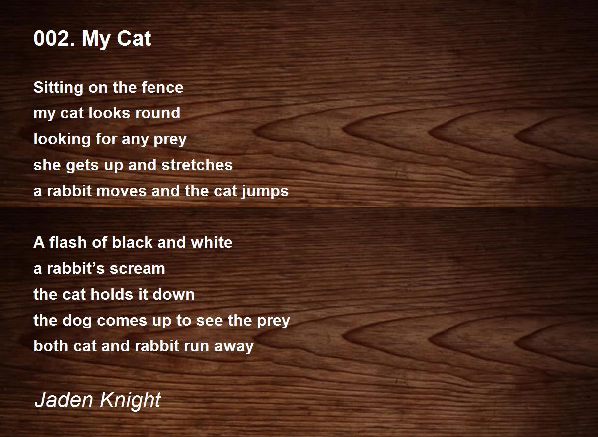 Cat Rap Poems