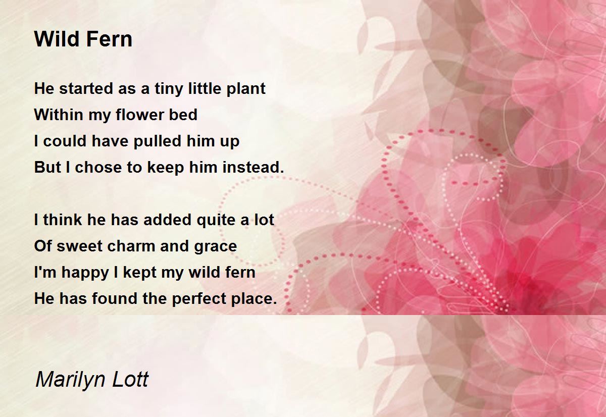 Wild Fern - Wild Fern Poem by Marilyn Lott