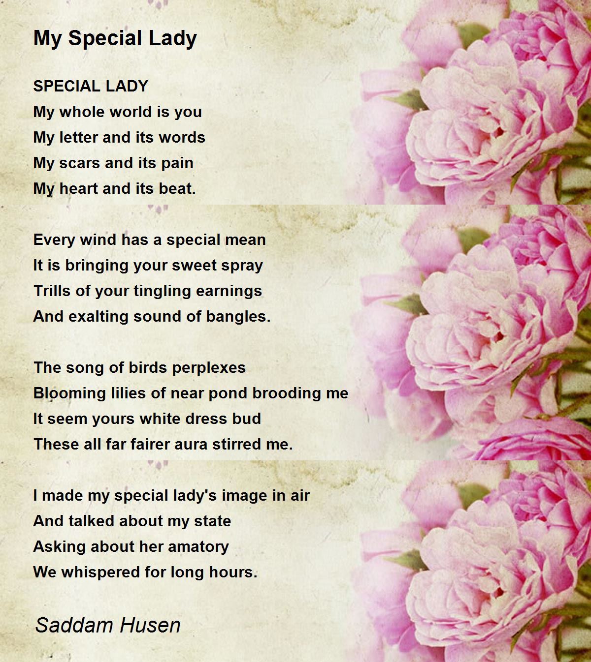 My Special Lady by Saddam Husen - My Special Lady Poem