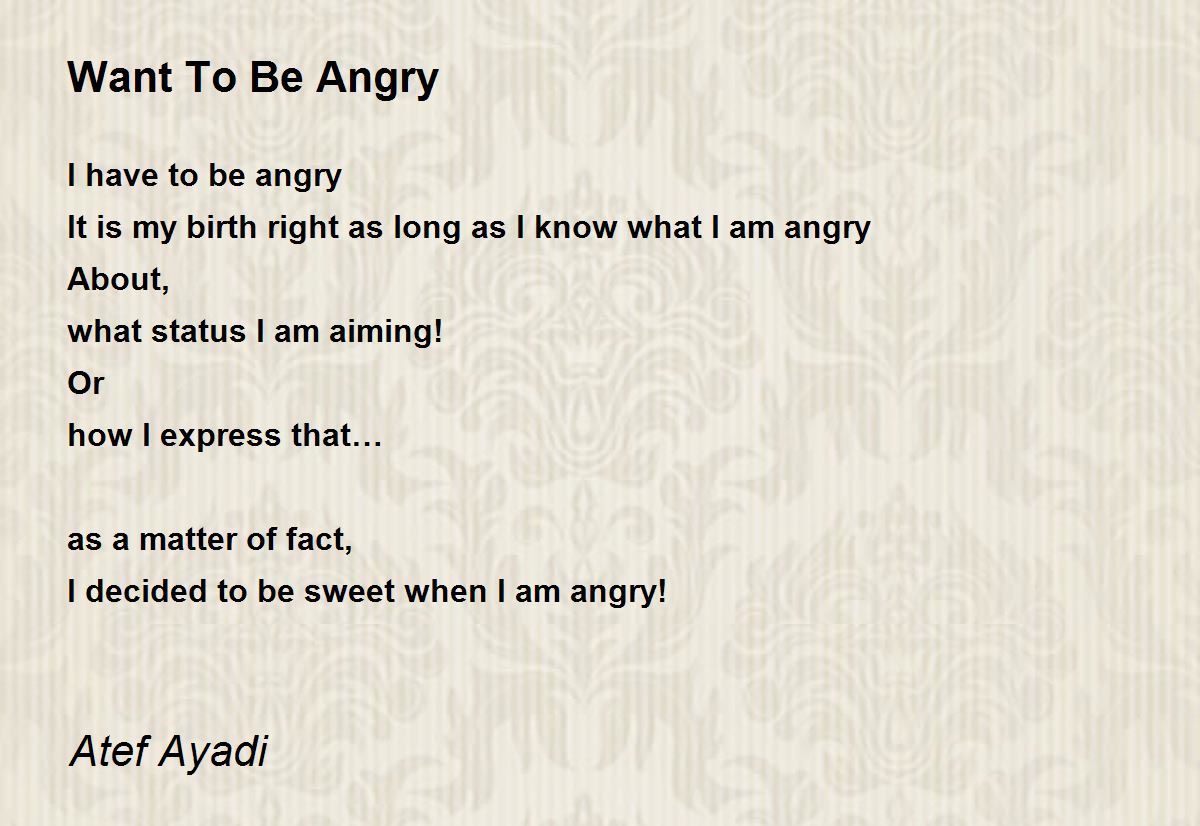 Sad Angry Poets