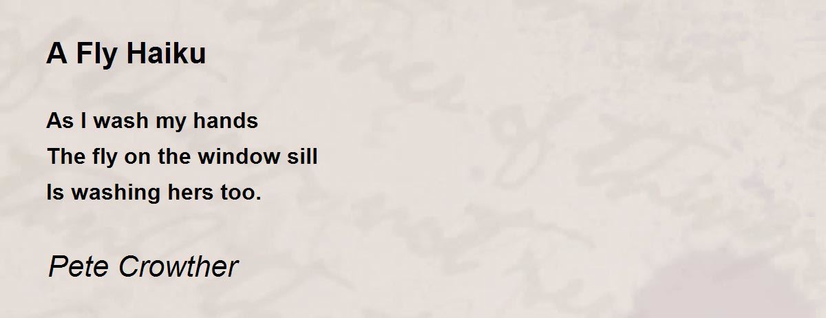 A Fly Haiku Poem by Pete Crowther - Poem Hunter