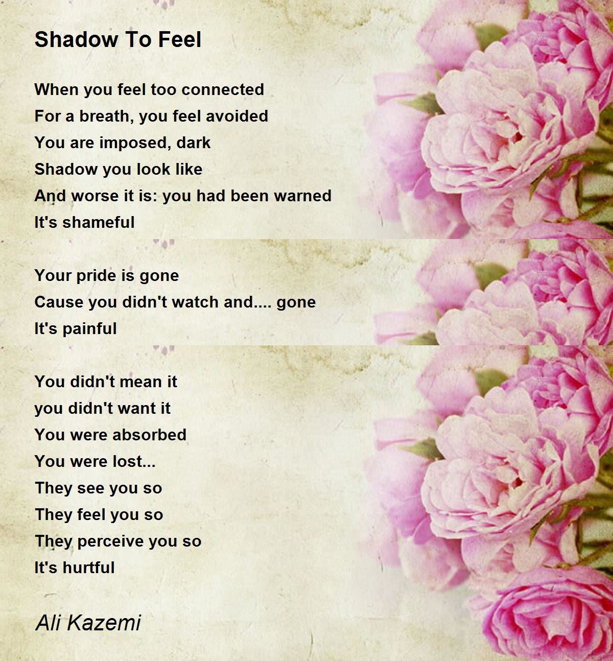 Shadow To Feel by Ali Kazemi - Shadow To Feel Poem