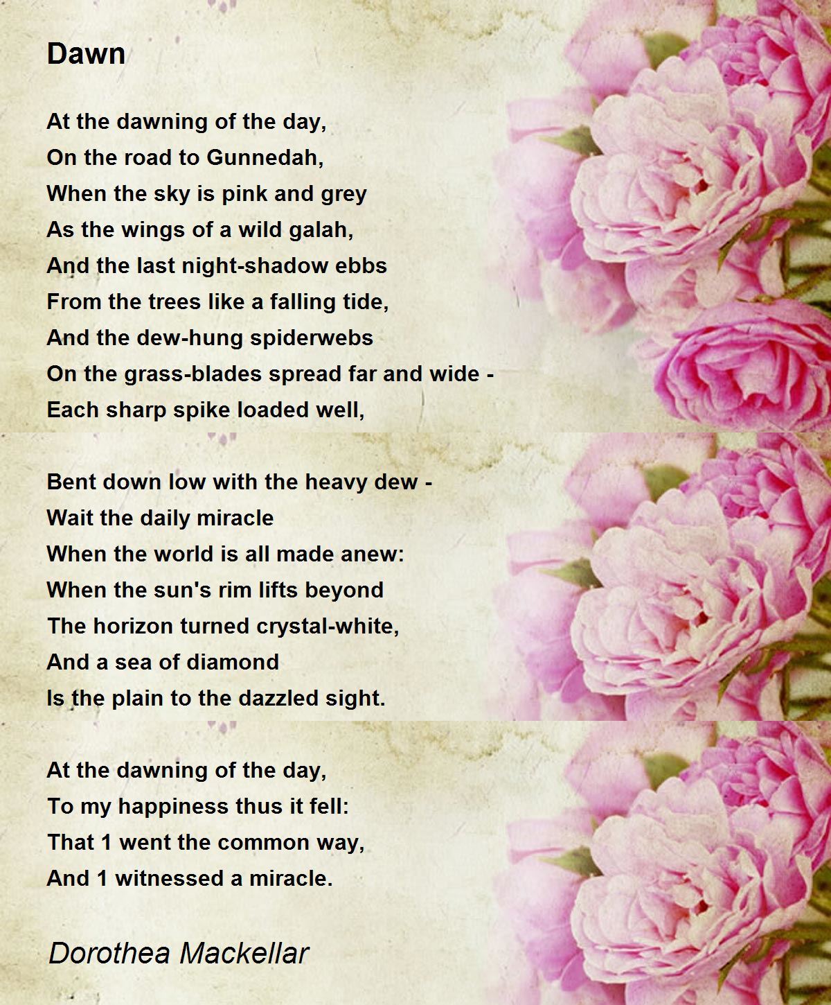 Dorothea Mackellar - Alchetron, The Free Social Encyclopedia