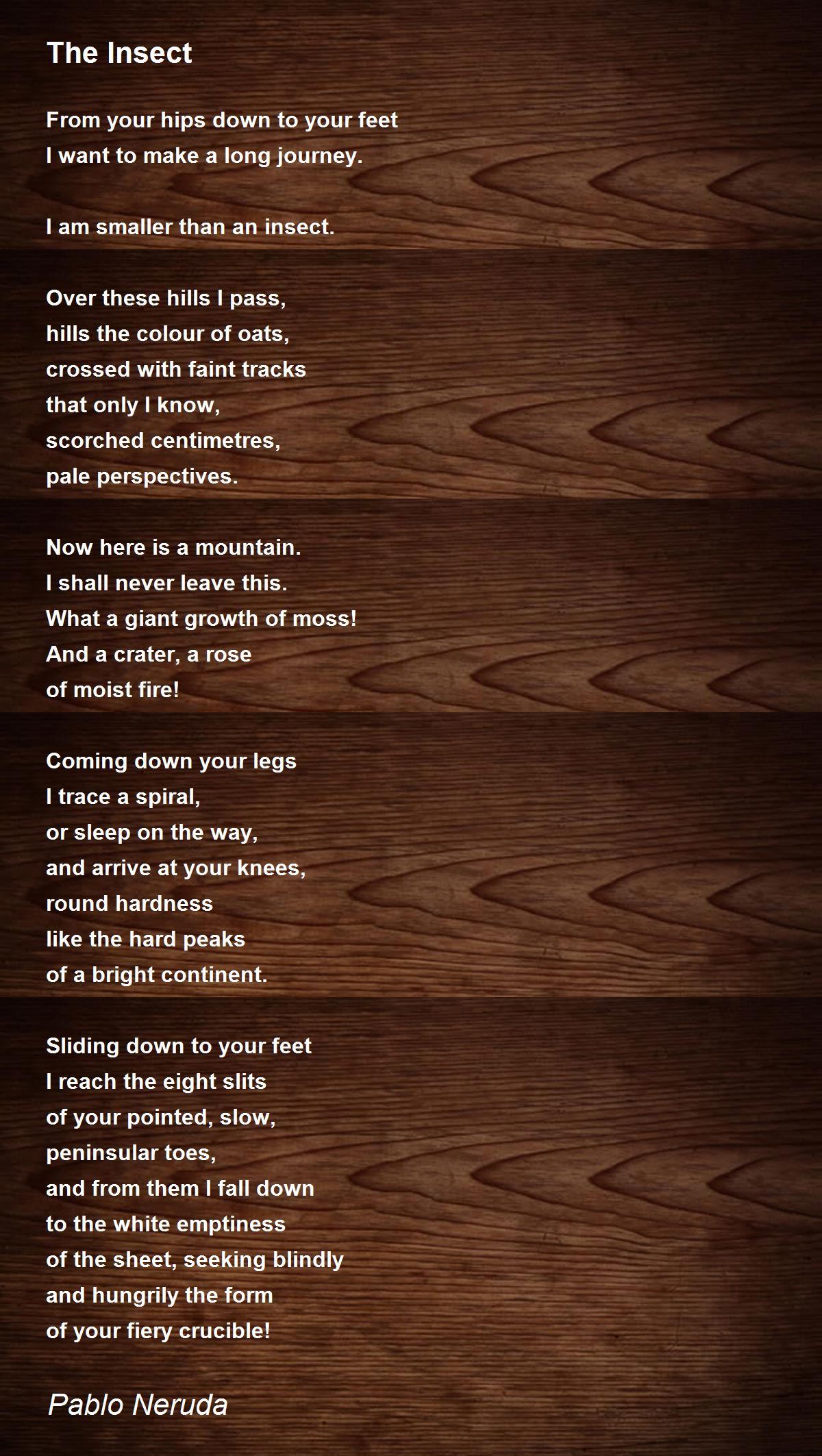 The Insect Poem by Pablo Neruda - Poem Hunter