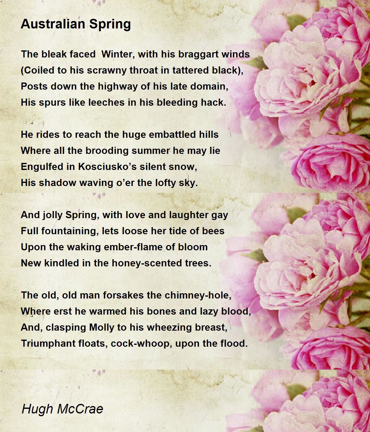 Loosest Aussie Bloke Quotes