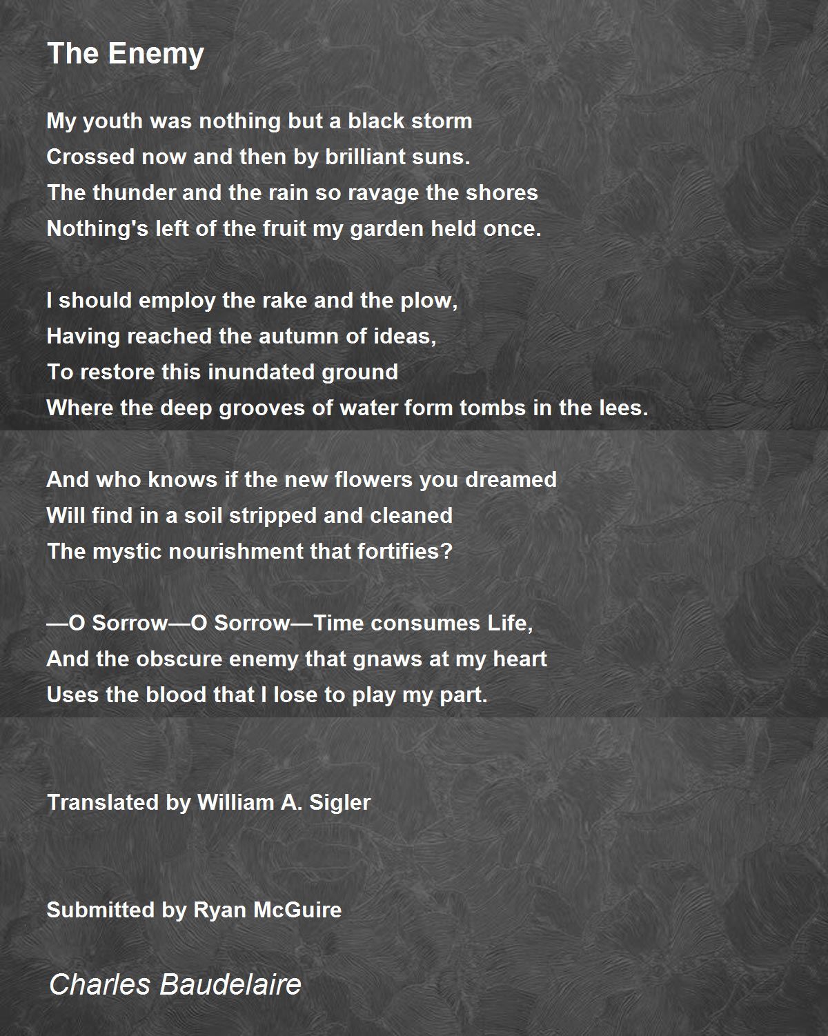 The Enemy Poem by Charles Baudelaire - Poem Hunter