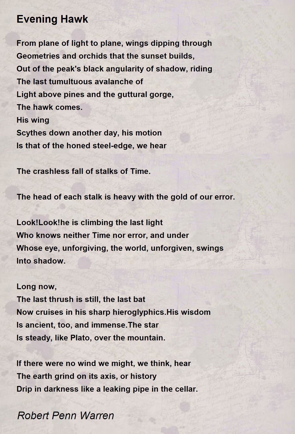 Evening Hawk Poem By Robert Penn Warren Poem Hunter