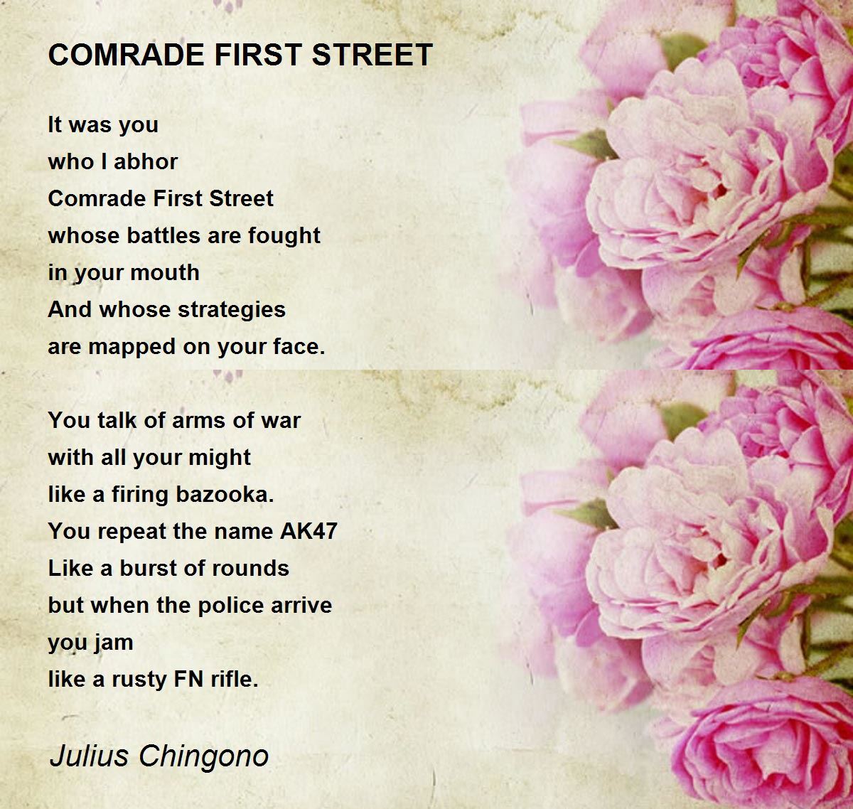 COMRADE FIRST STREET - COMRADE FIRST STREET Poem by Julius Chingono