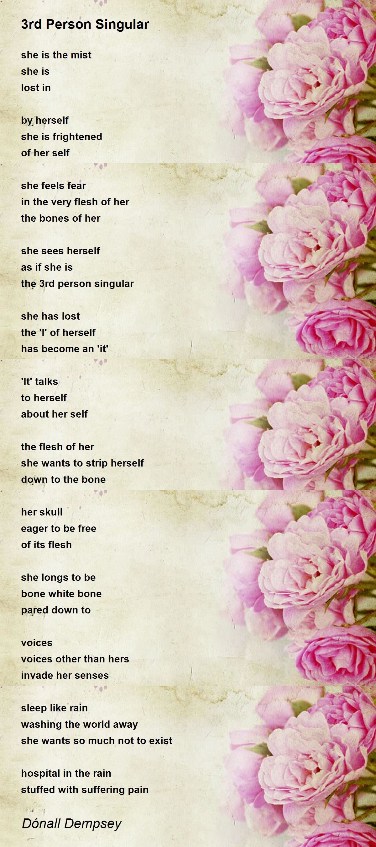 3rd Person Singular - 3rd Person Singular Poem by Dónall Dempsey