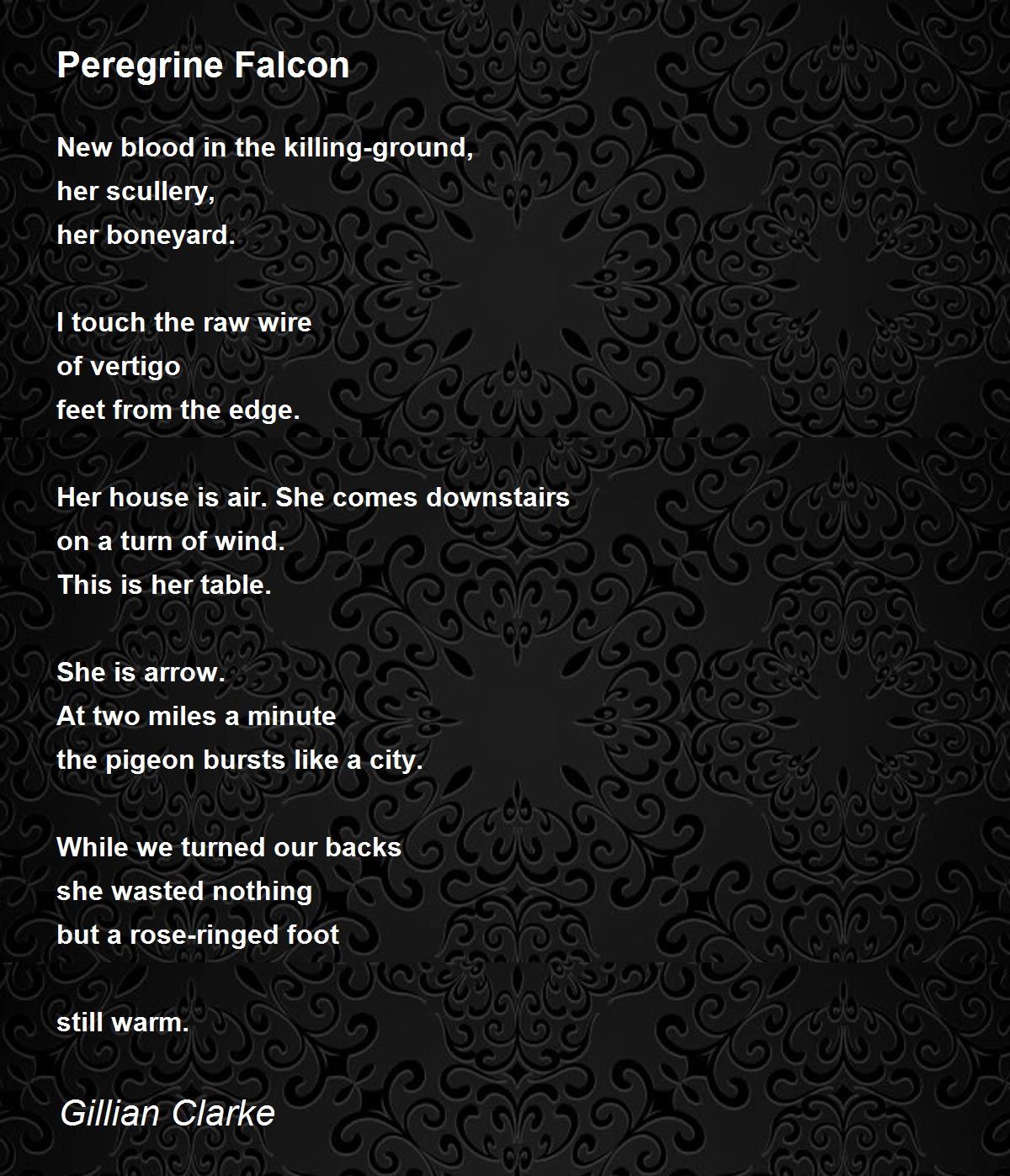 Peregrine Falcons Quotes