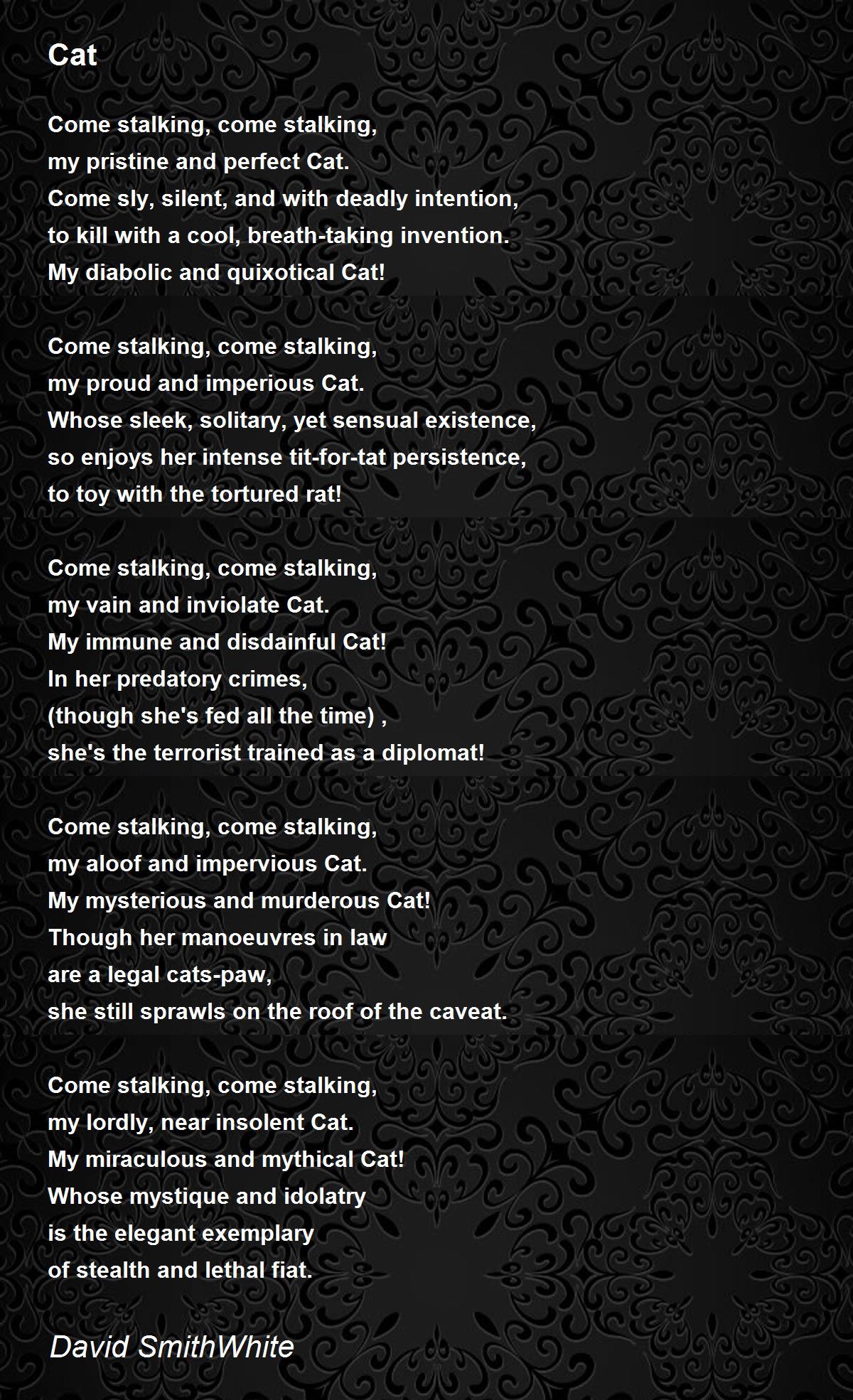 Cat - Cat Poem by David SmithWhite