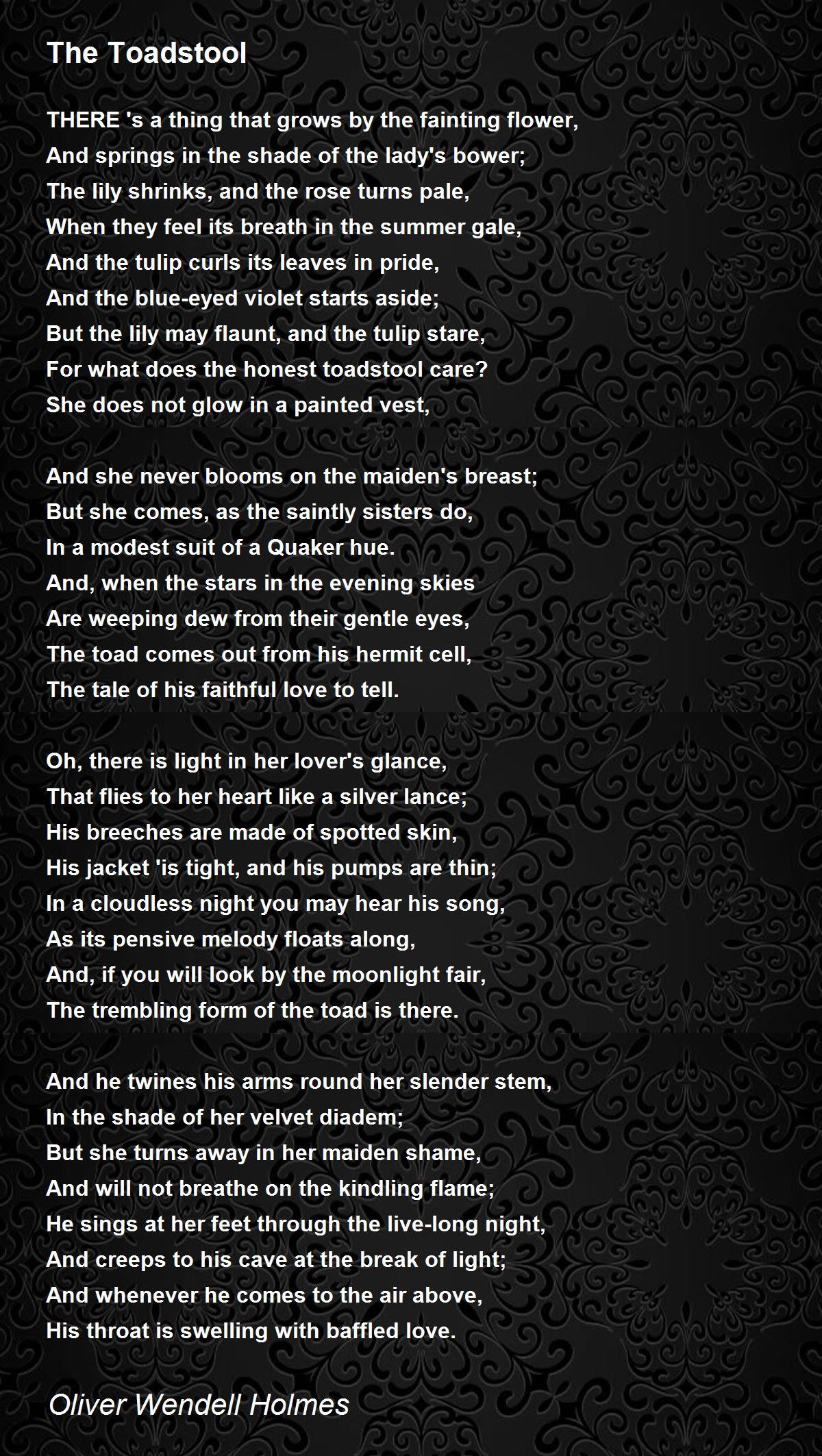 Poems from Under a Toadstool by Alicia Bayer - jesincredible