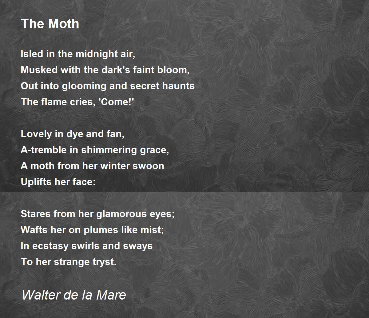 Moth Quotes