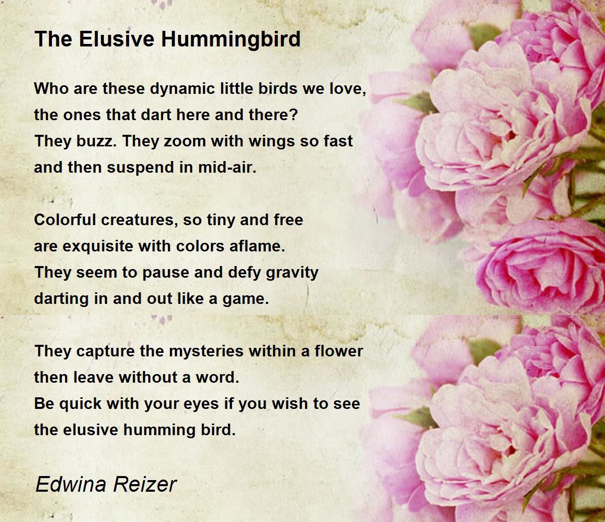The Elusive Hummingbird - The Elusive Hummingbird Poem by Edwina Reizer