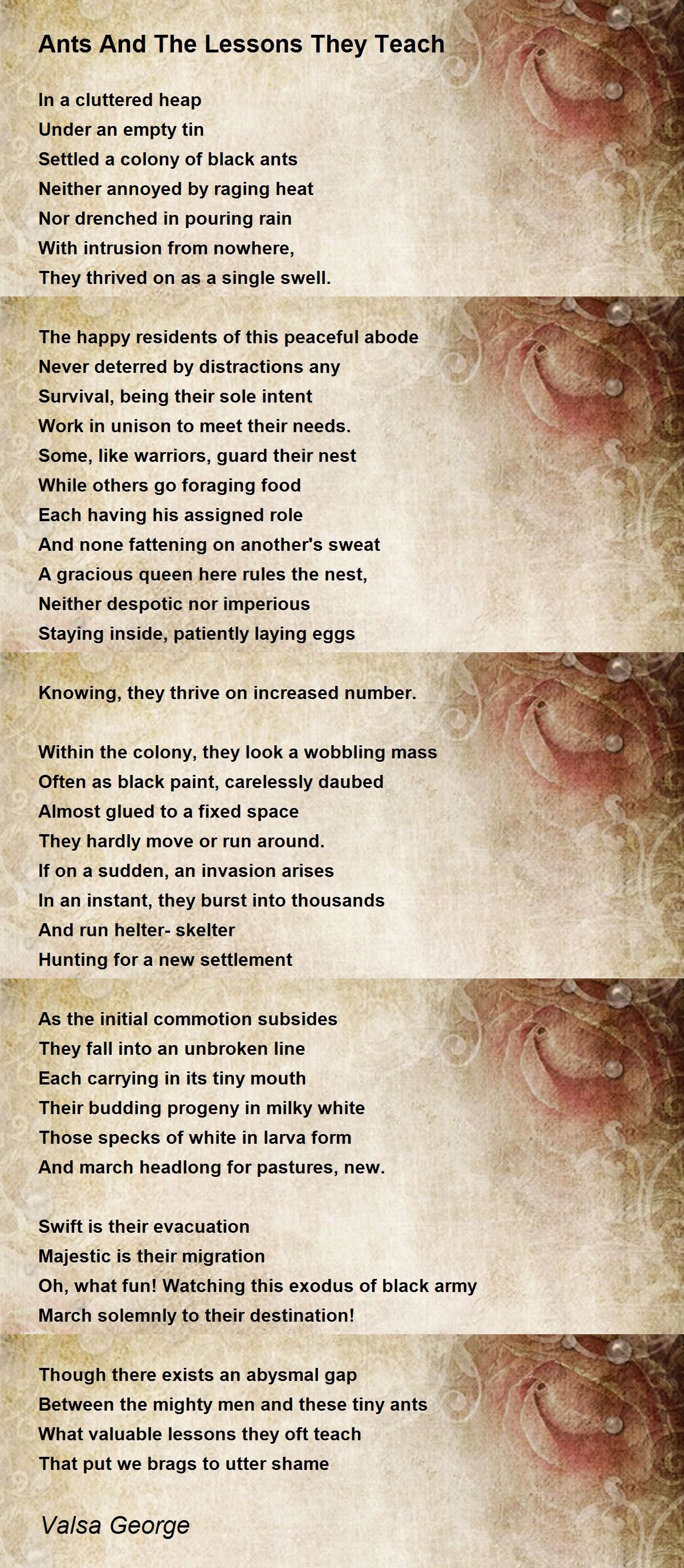 Ants And The Lessons They Teach Poem by Valsa George - Poem Hunter