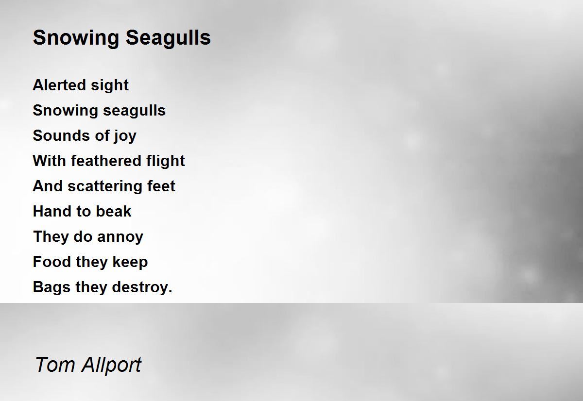 Snowing Seagulls - Snowing Seagulls Poem by Tom Allport
