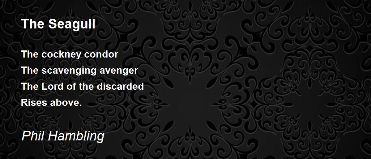 The Seagull by Phil J Hambling - The Seagull Poem