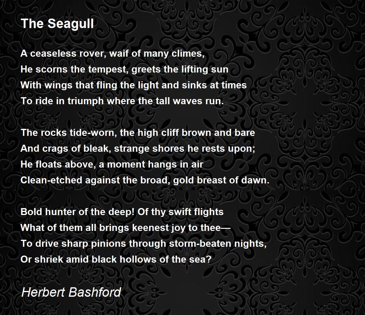 The Seagull - The Seagull Poem by Herbert Bashford