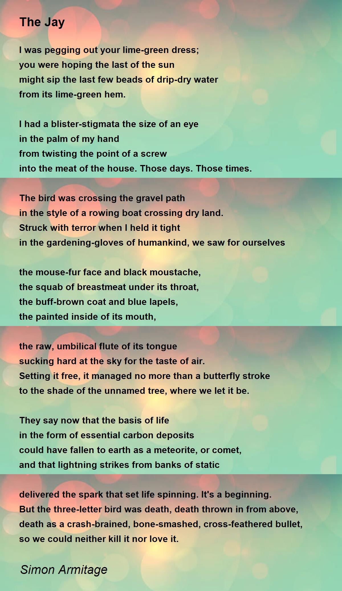 Simon Armitage Quotes