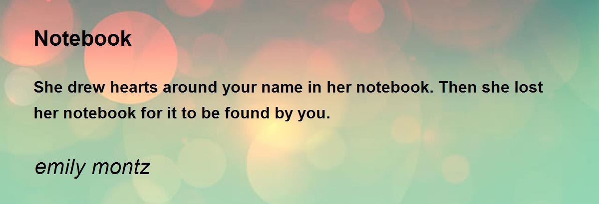 Notebook - Notebook Poem by emily montz