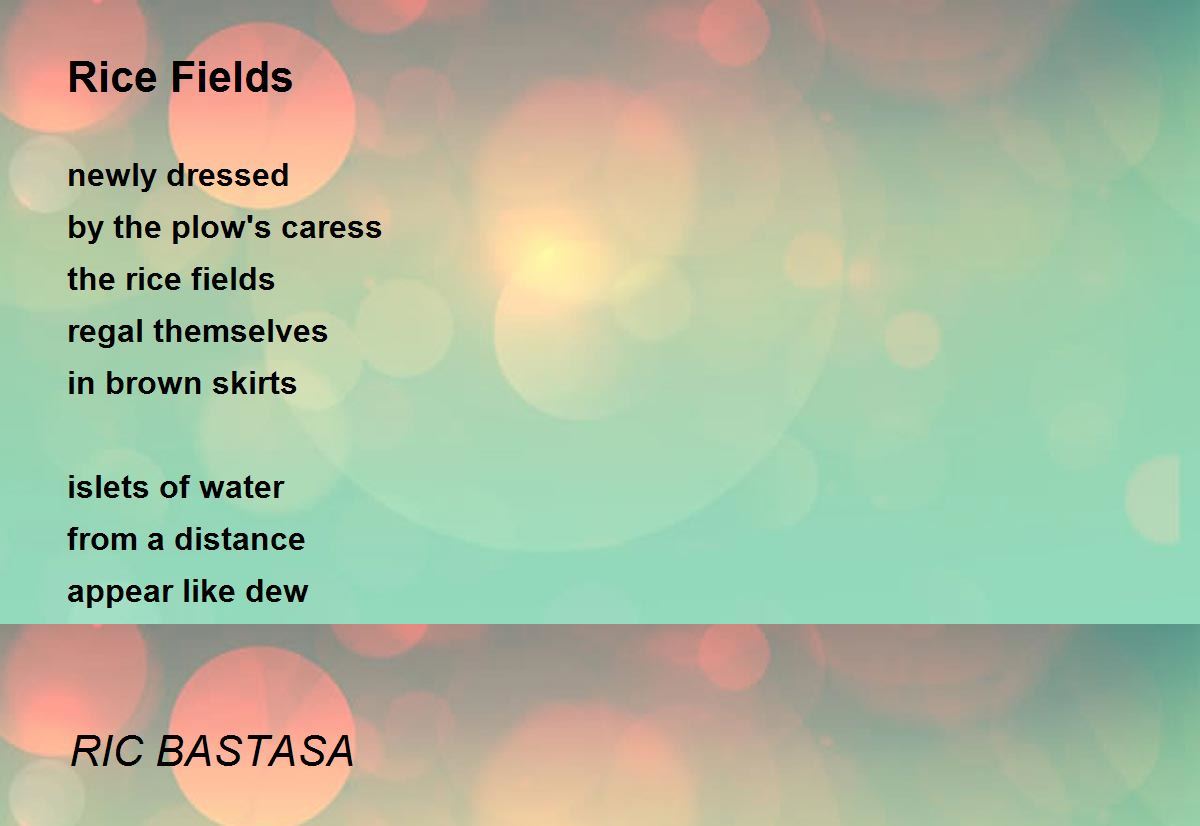 Rice Fields Poem by RIC BASTASA - Poem Hunter