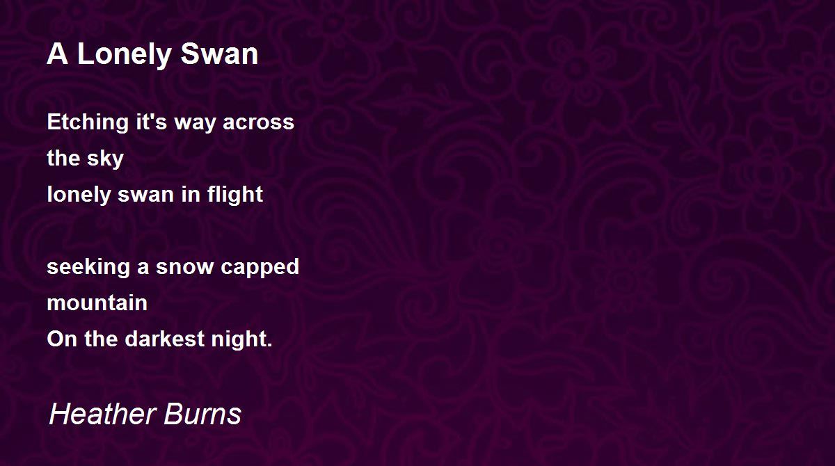 A Lonely Swan - A Lonely Swan Poem by Heather Burns