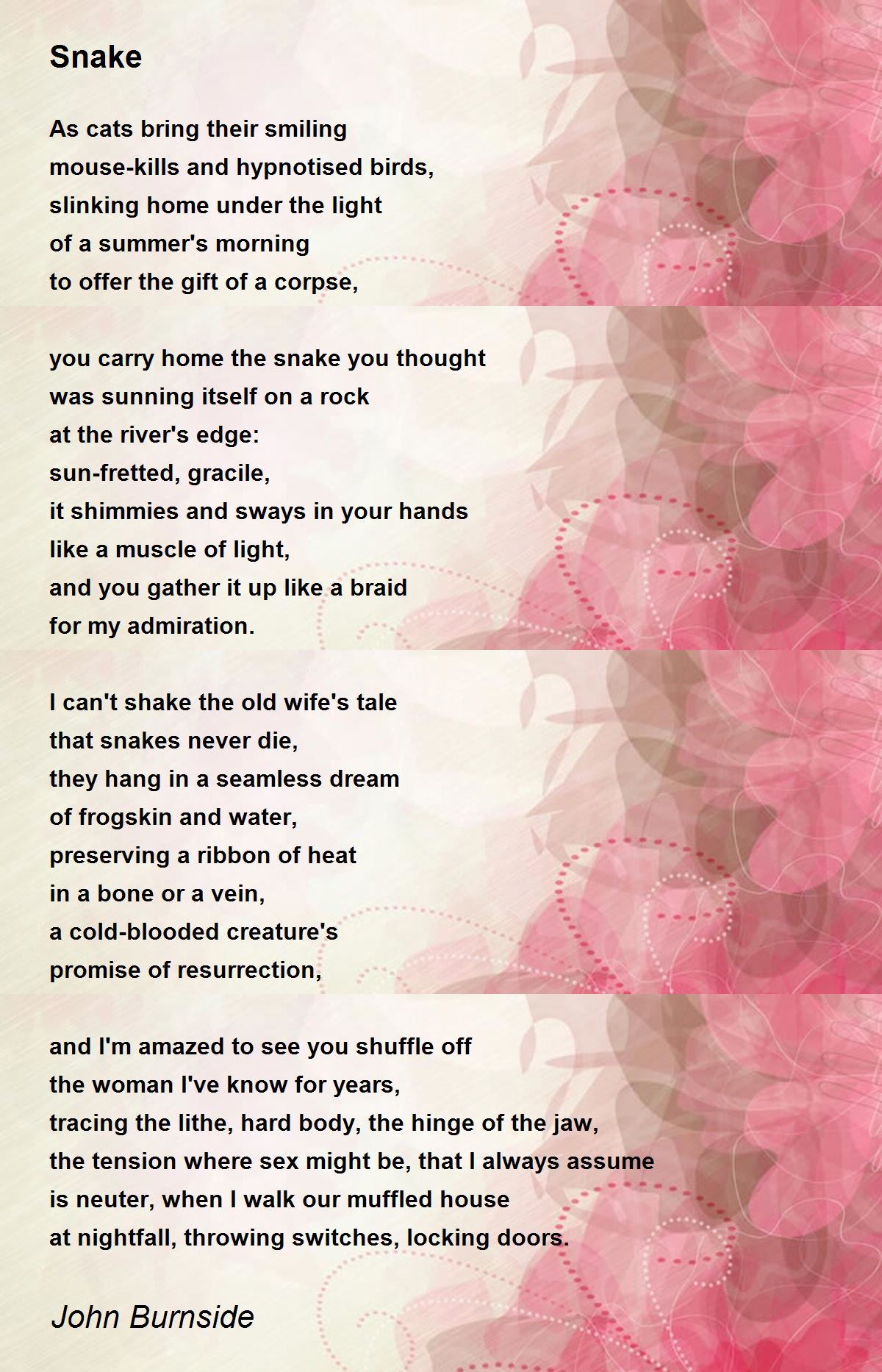 Rainbow Snake Poem , James Donnelly Poetry – MVFG