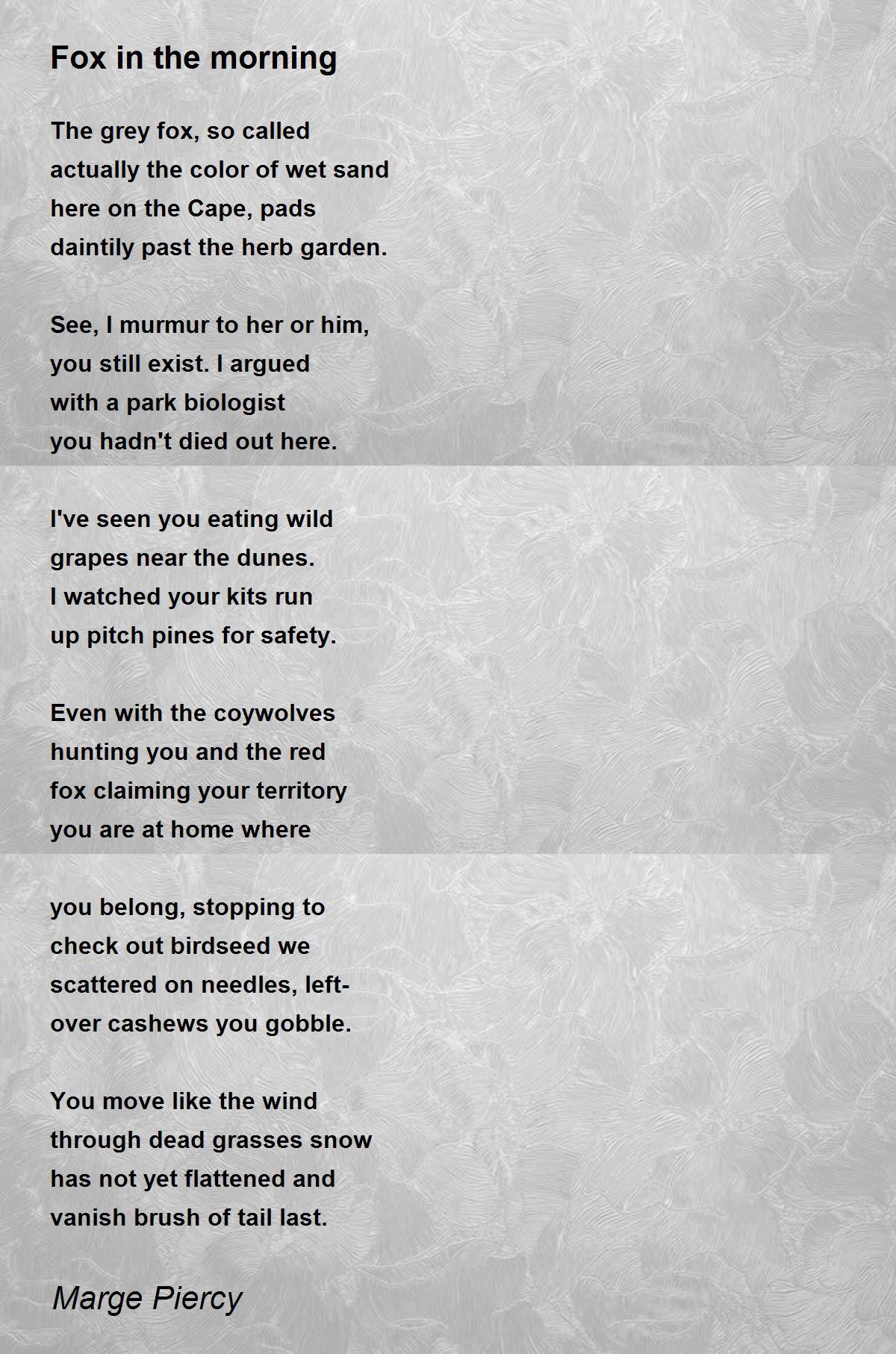 Fox in the morning Poem by Marge Piercy - Poem Hunter