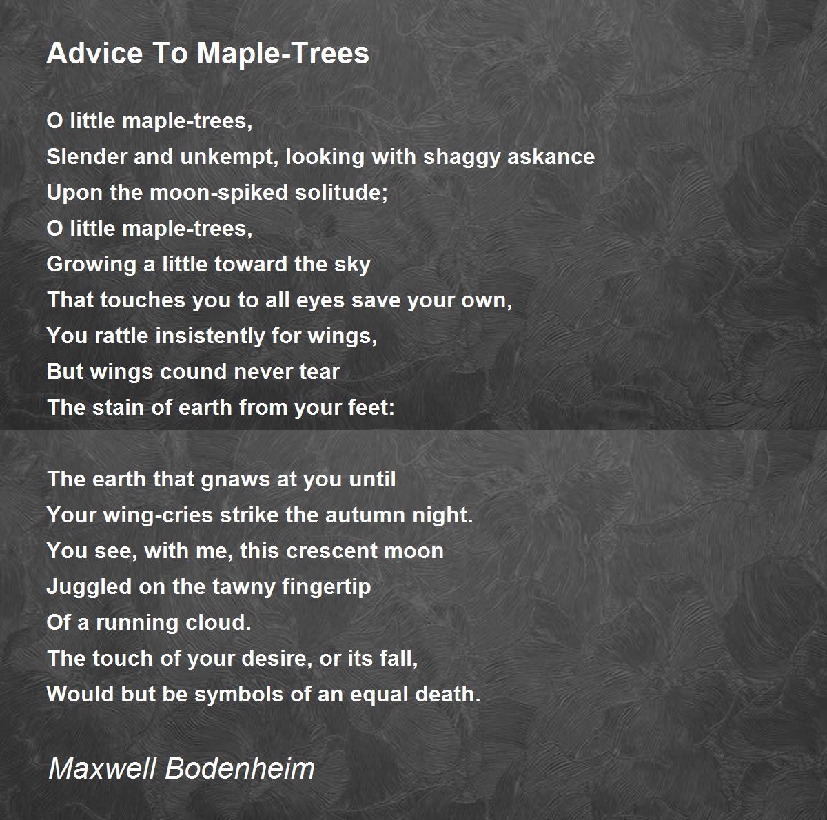 Advice To Maple-Trees Poem by Maxwell Bodenheim - Poem Hunter