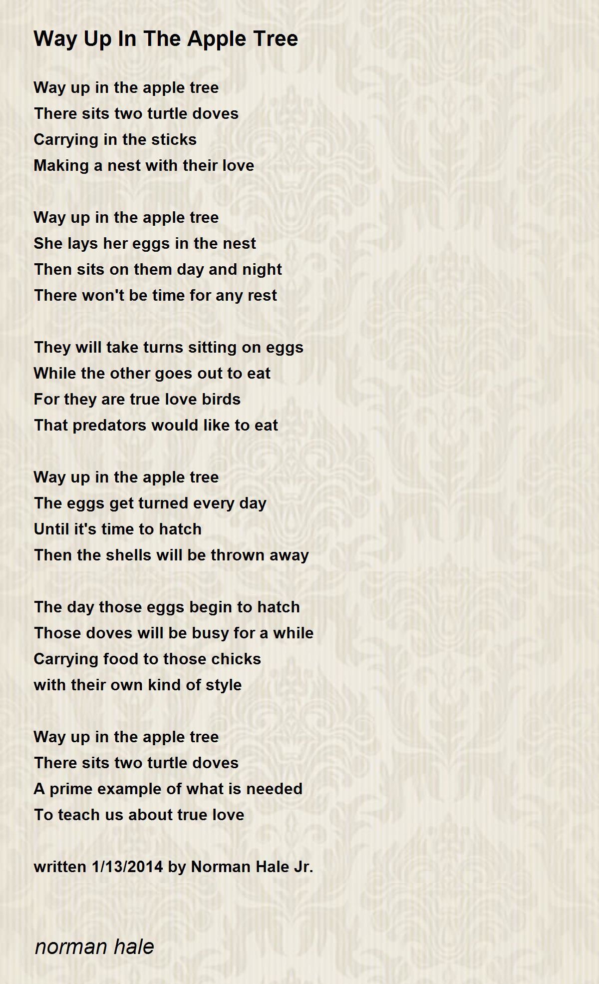 Way Up In The Apple Tree Poem by norman hale - Poem Hunter