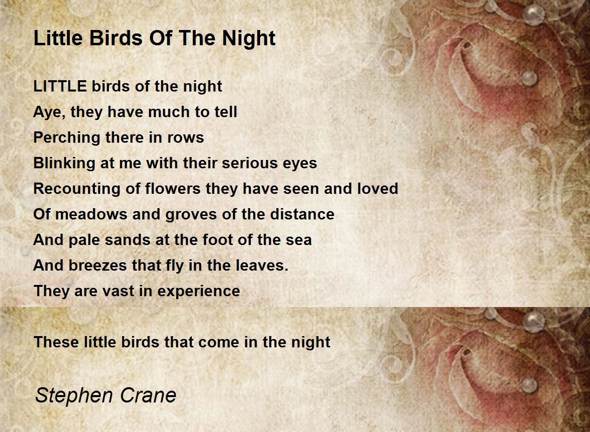 Night Birds Quotes