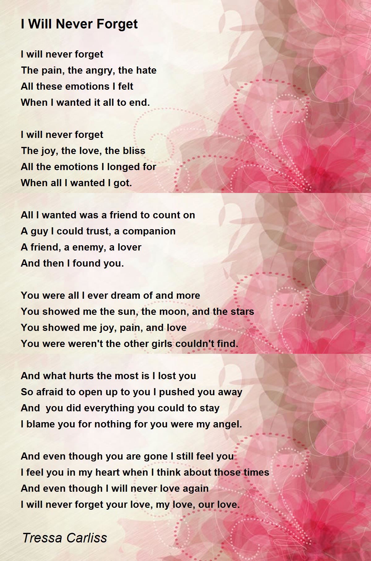 I Will Never Forget Poem by Tressa Carliss - Poem Hunter