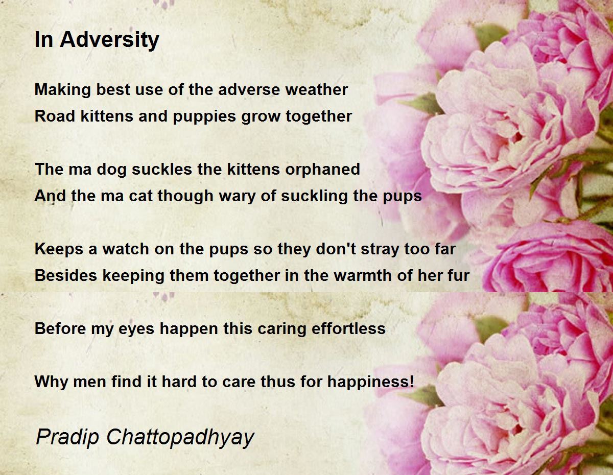 Overcoming Adversity Poems