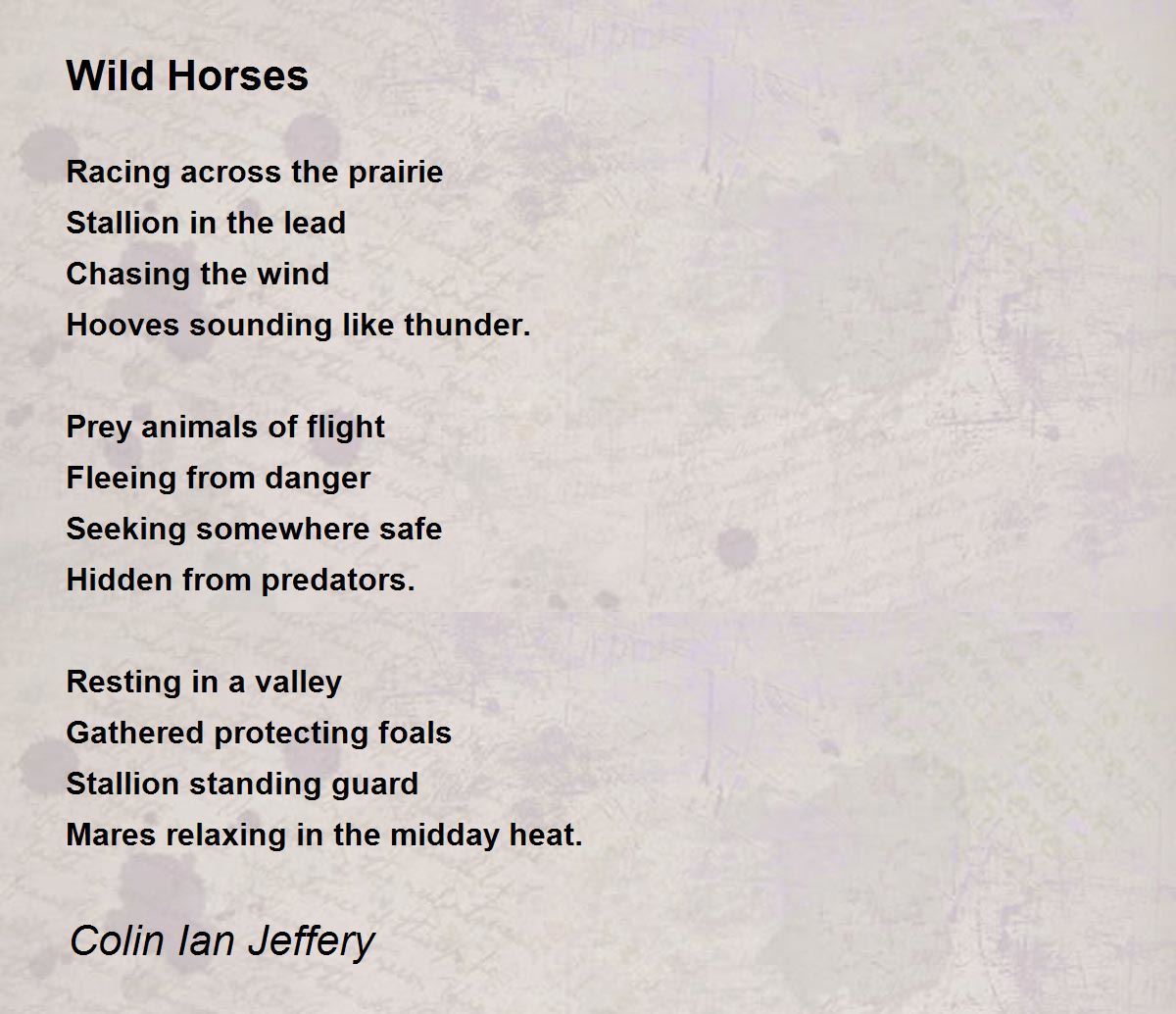 Wild Horses - Wild Horses Poem by Colin Ian Jeffery