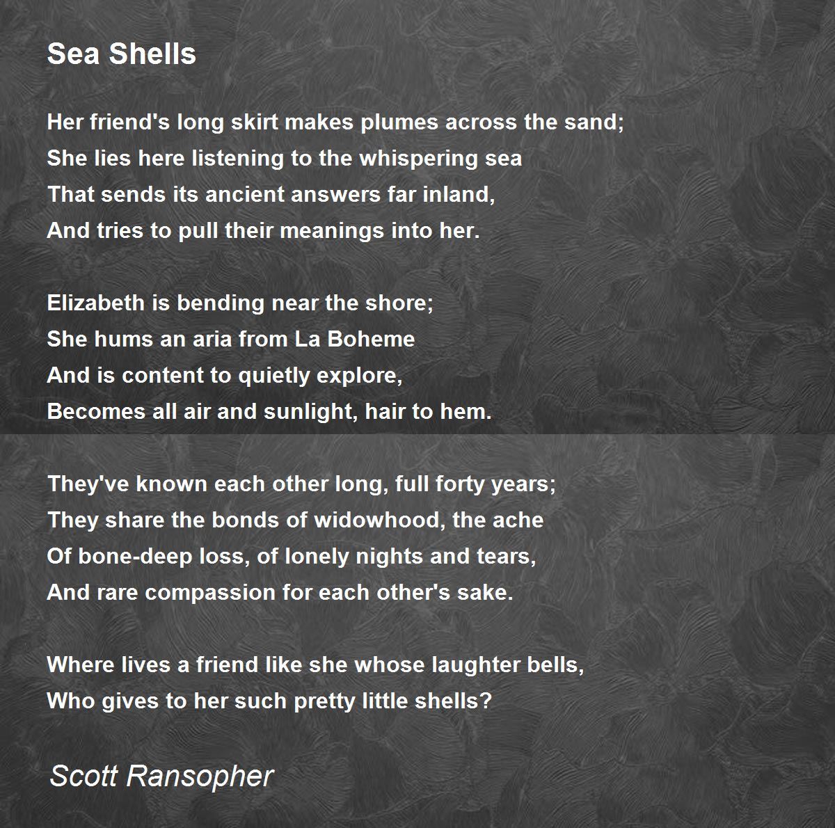 Sea Shells - Sea Shells Poem by Scott Ransopher