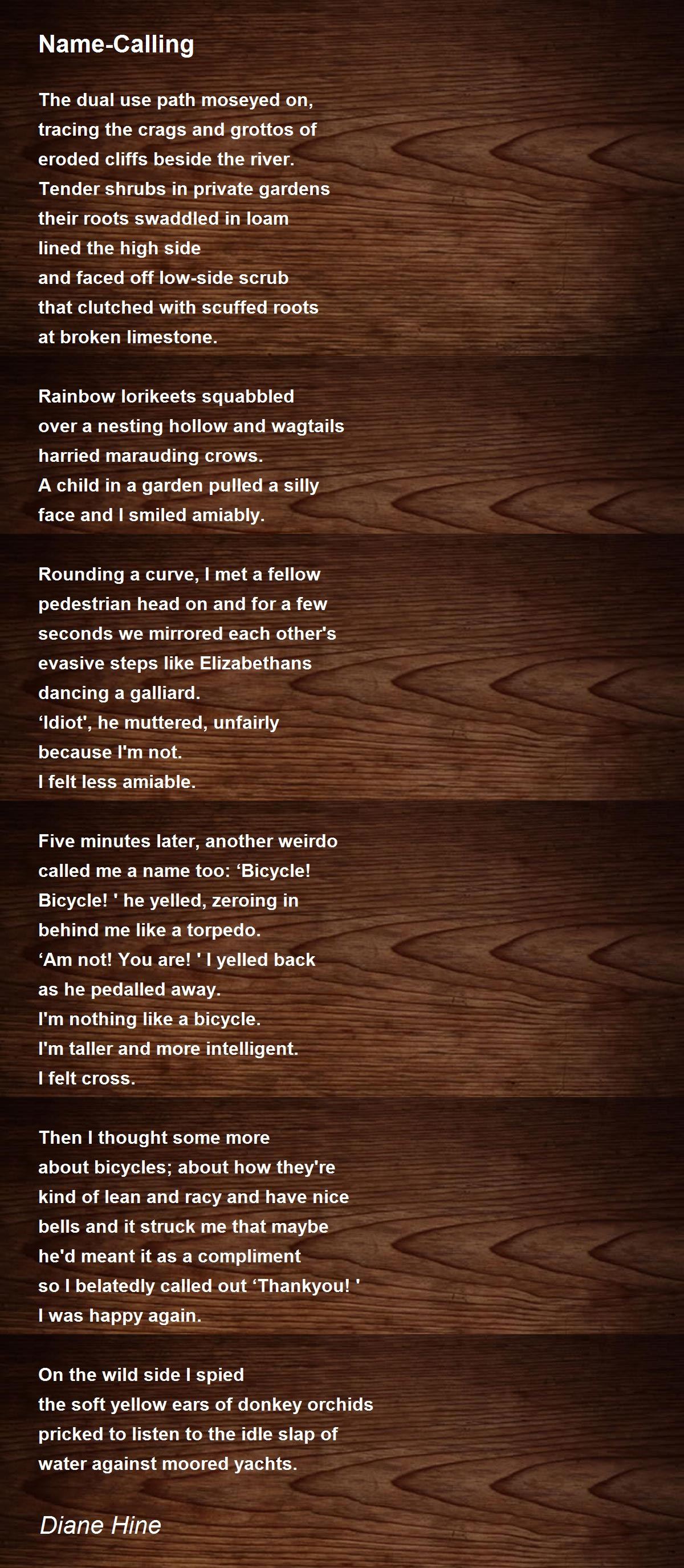 Name-Calling - Name-Calling Poem by Diane H